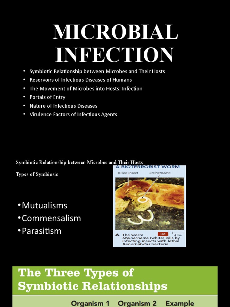 Microbial Infection 2 | PDF | Microbiota | Infection