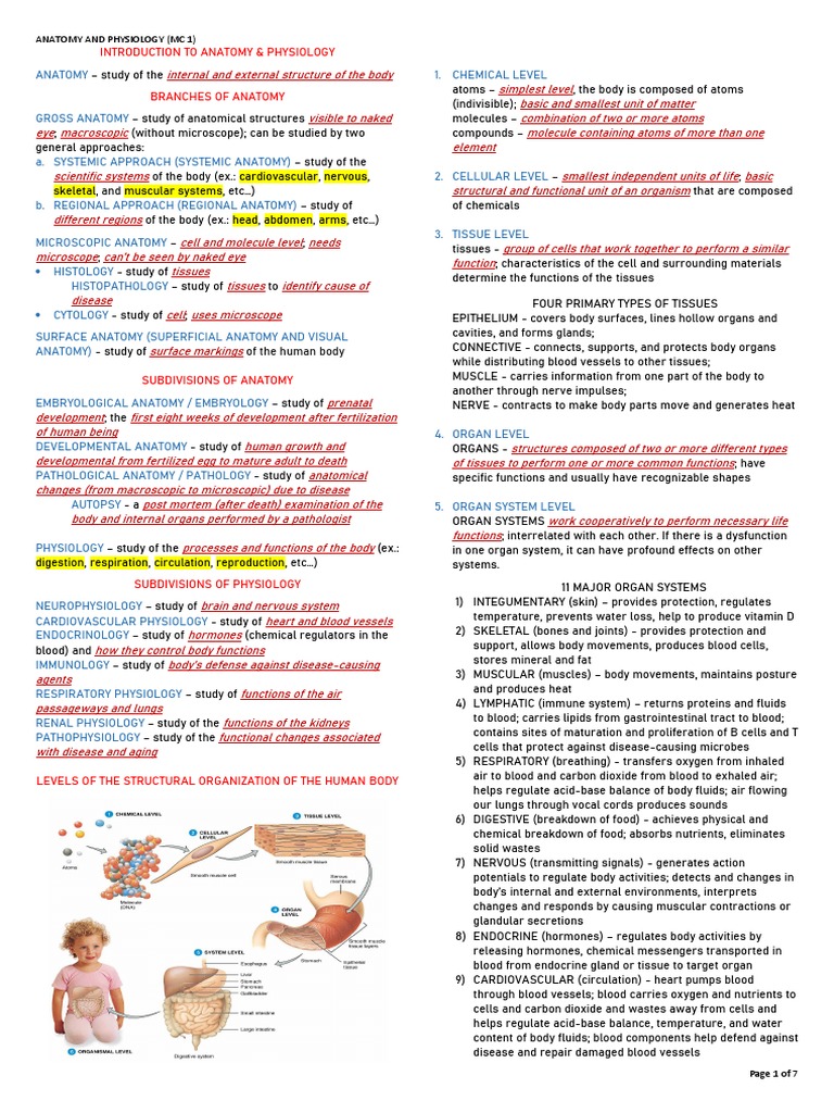 MC1 REVIEWER (Introduction To AnaPhy) | Download Free PDF | Human Body ...