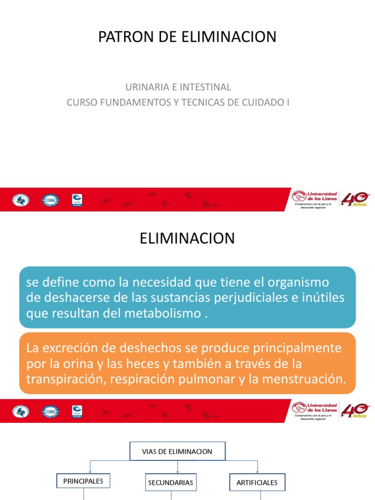 Patron de Eliminación | PDF | Vejiga urinaria | Heces
