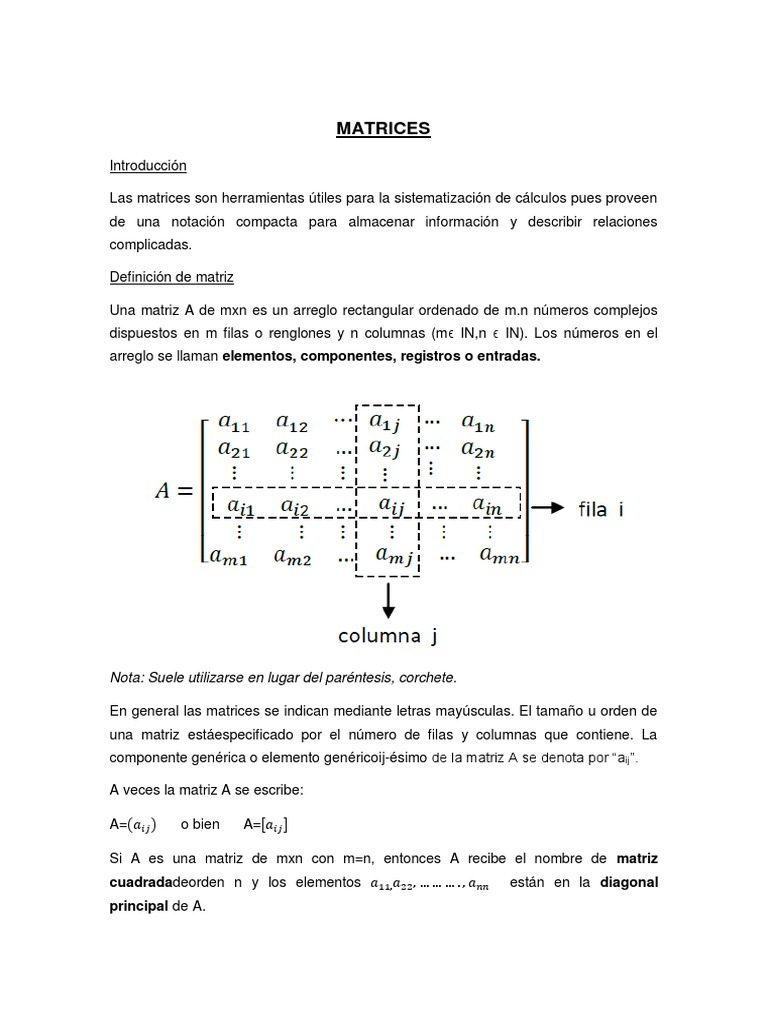 Apunte Matrices 2021 | PDF | Matriz (Matemáticas) | Espacio vectorial