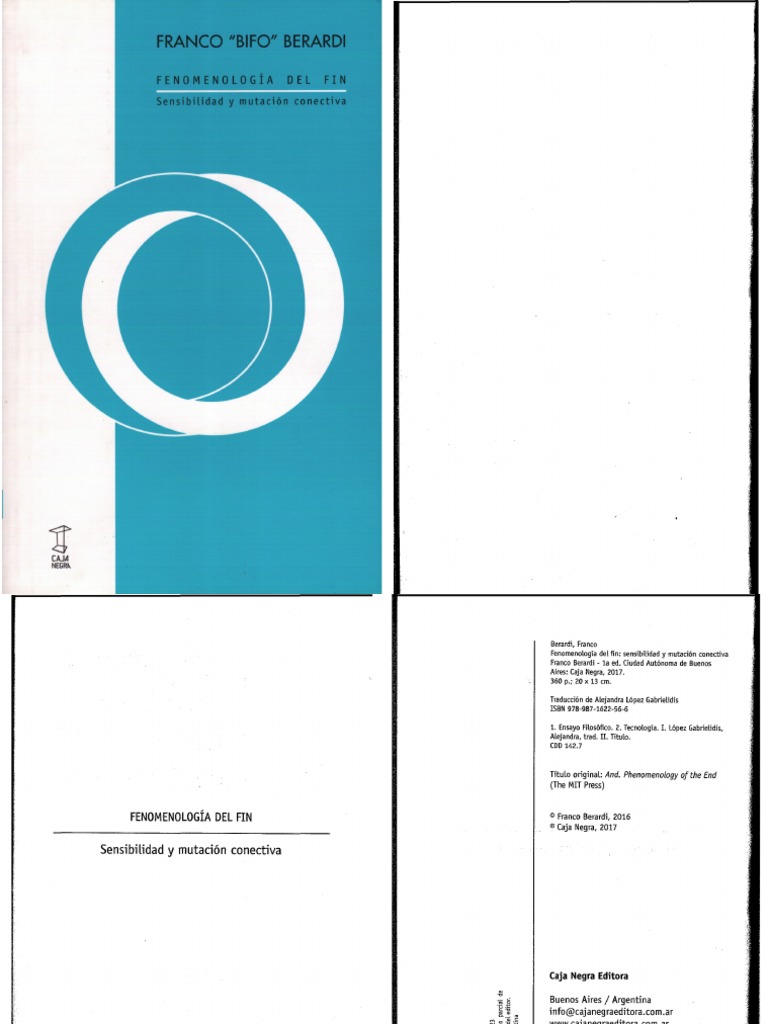Fenomenologia Del Fin Sensibilidad y Apaisado | PDF | Realidad | Mente
