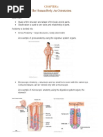 Intro to Human Anatomy & Physiology | PDF | Anatomical Terms Of Motion ...