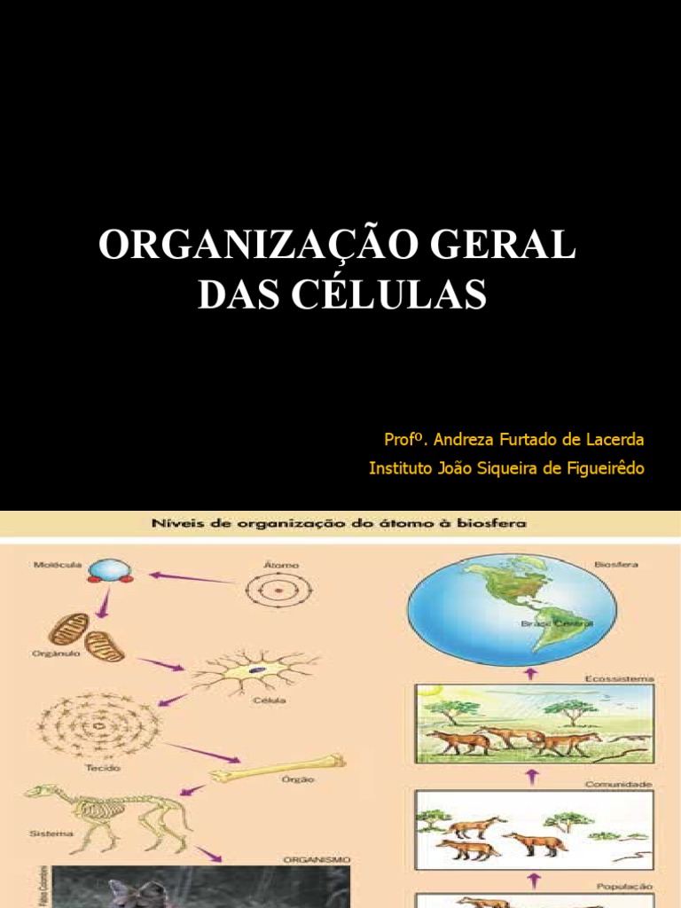 Bio. Celular | PDF | Célula (Biologia) | Procarionte