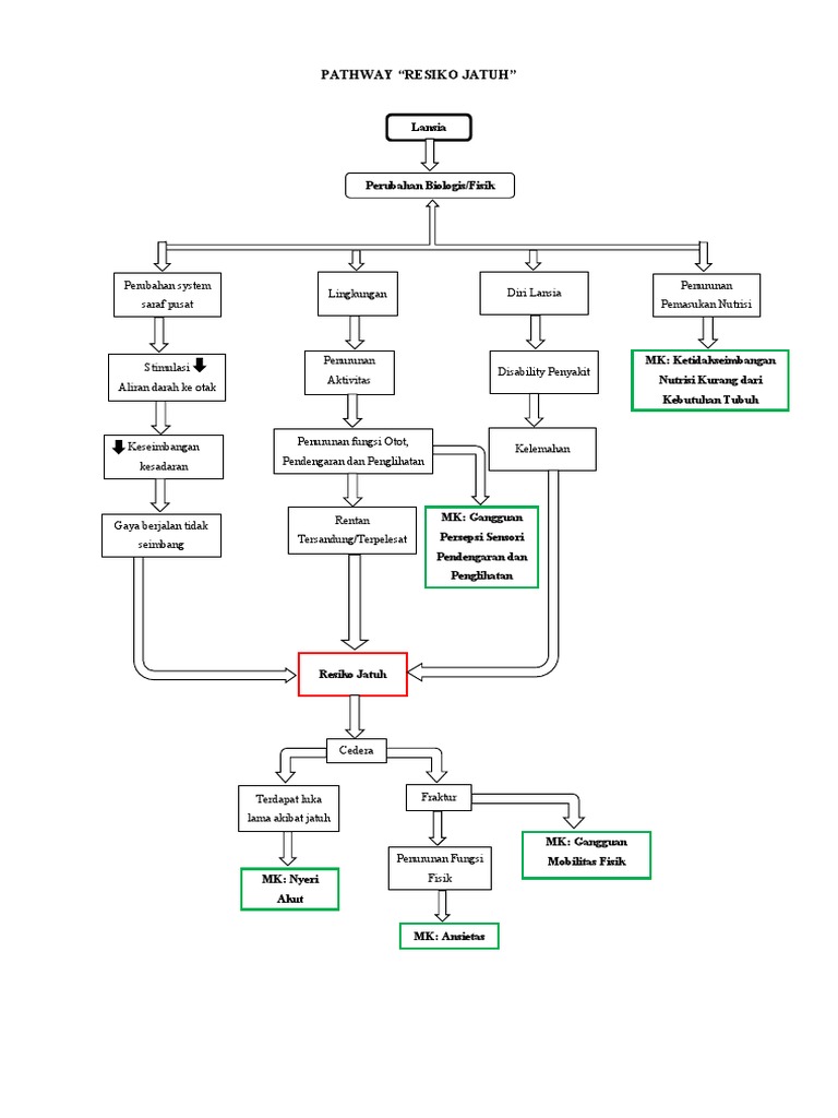 Pathway Resiko Jatuh | PDF