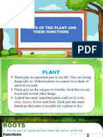 Parts of A Plant - PowerPoint | PDF | Seed | Plants