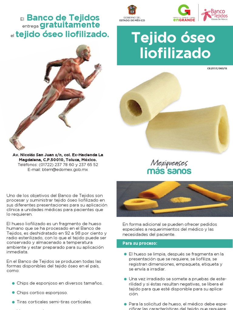 Baco de Hueso MX | PDF | Hueso | Ciencias de la Salud