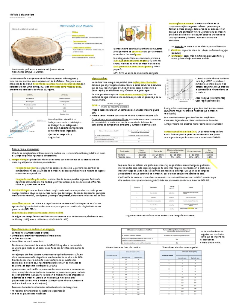 Estruc. Maderas | PDF | Madera | Viga (Estructura)