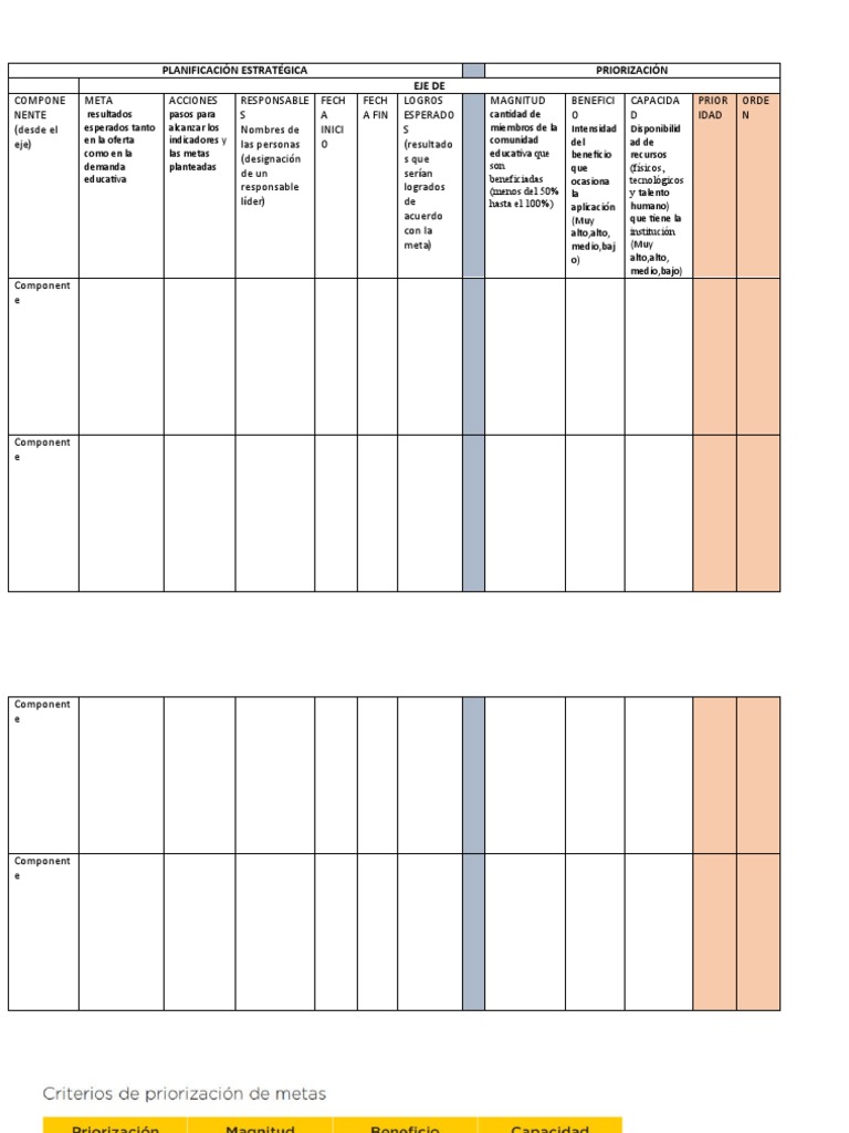 Formato de Metas | PDF