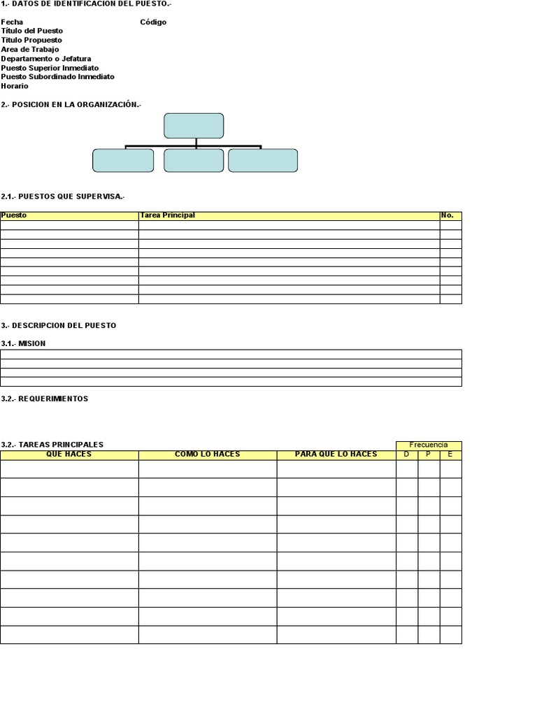 Formato Descripción de Puestos | PDF