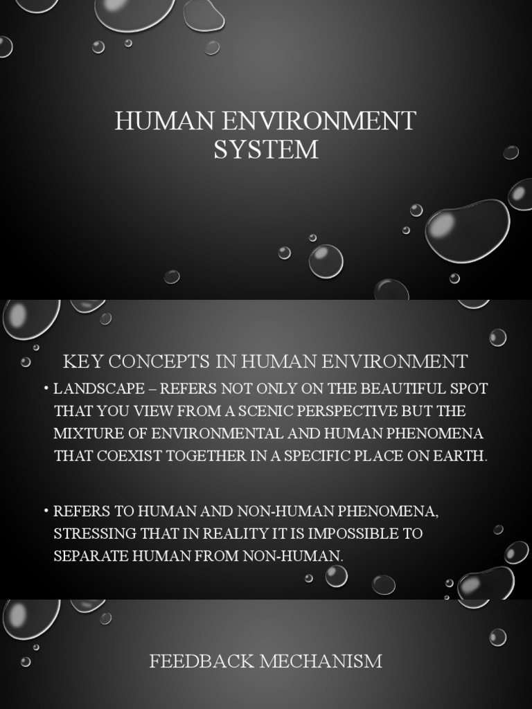 Human Environment System Pdf Geography Natural Environment 