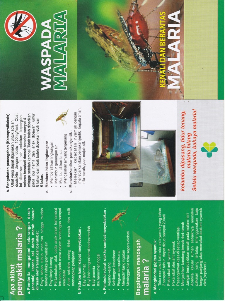 Leaflet MALARIA | PDF | Military Of France | Vichy France