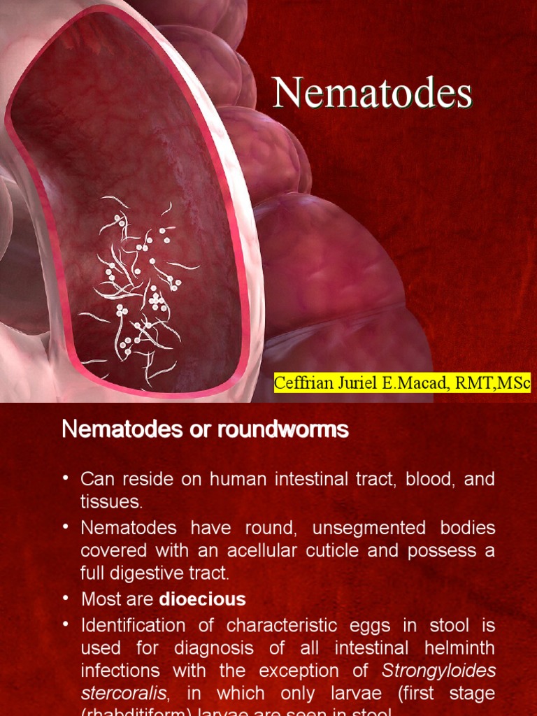 2 Nematodes | PDF | Medical Specialties | Clinical Medicine