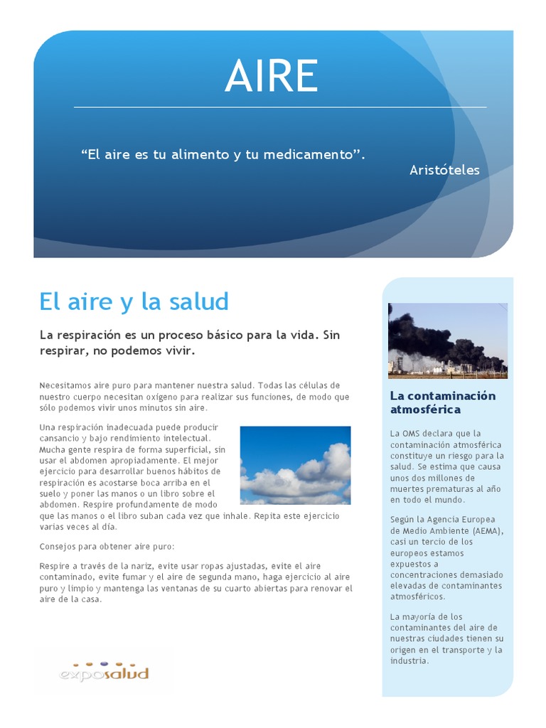AIRE | PDF | Respiración | Contaminación