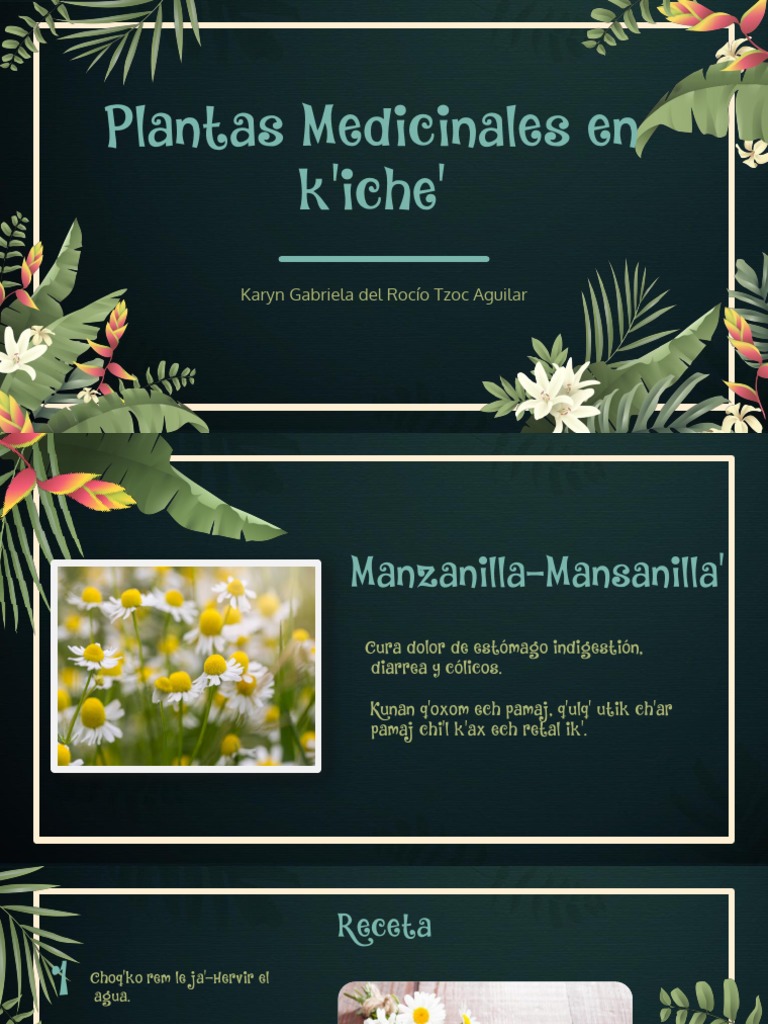 Presentación de K'iche' | PDF