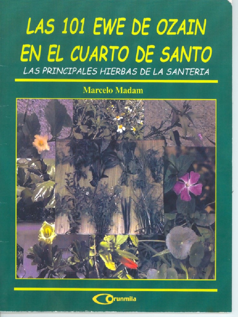 Tratado de Ewe | PDF