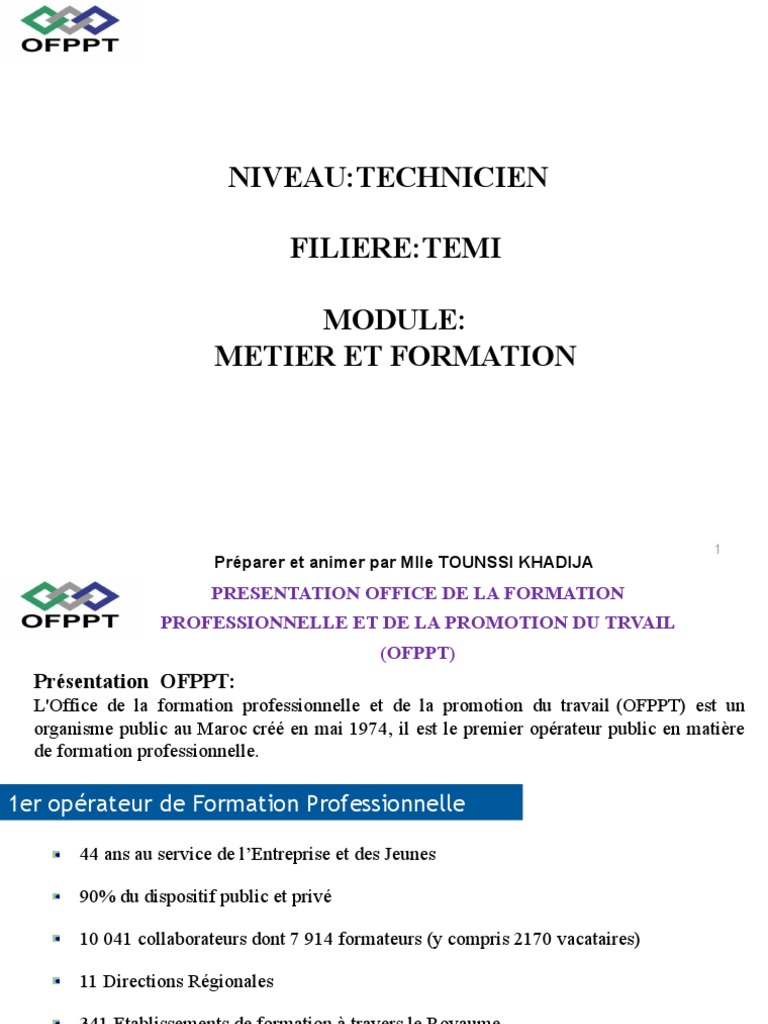 Module Metier Et Formation-Temi | PDF