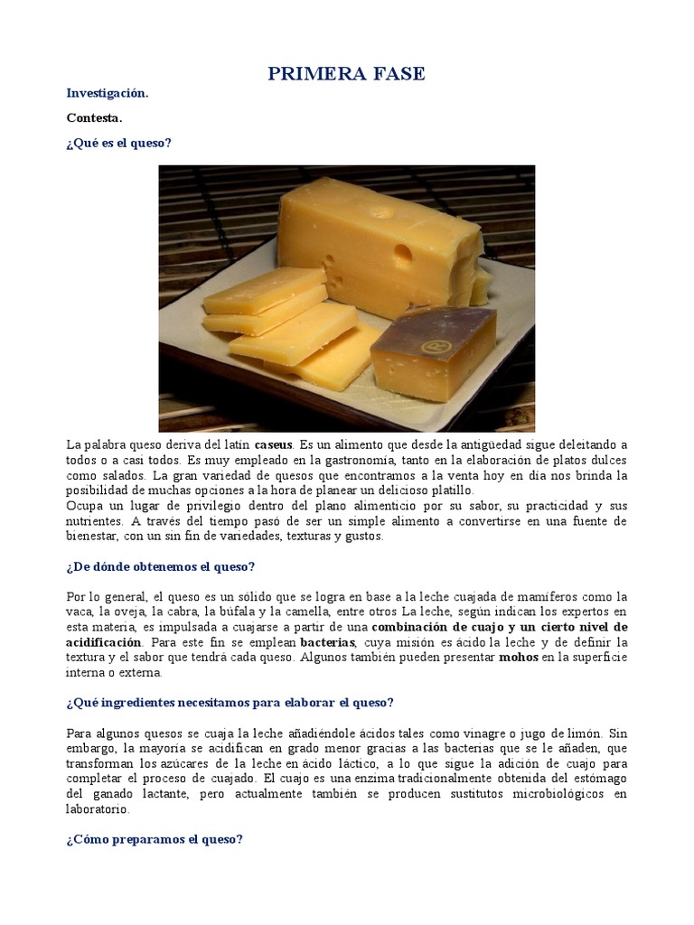 PRIMERA FASE Proyecto | PDF | Queso | Nutrición