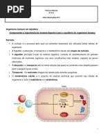 Quimo e Quilo | PDF | Digestão | Estômago