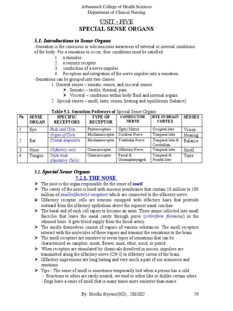 UNIT 5 (Special Sense Organs) | PDF | Ear | Senses