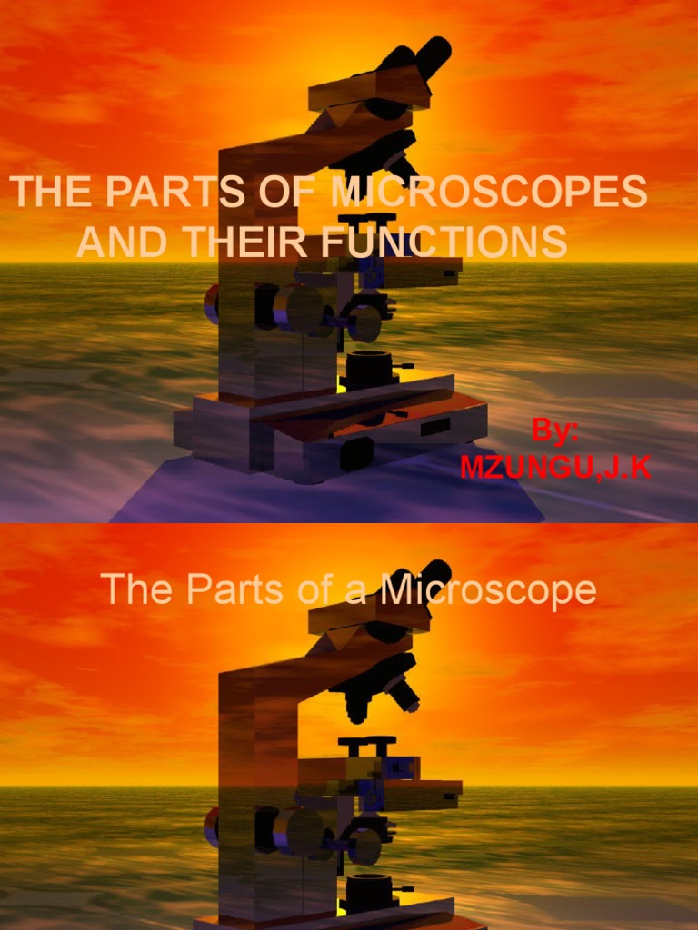 Microscope Parts and Their Functions | PDF | Microscopy | Natural ...