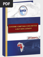 Normes Comptables SYSCOHADA Expliquées | PDF