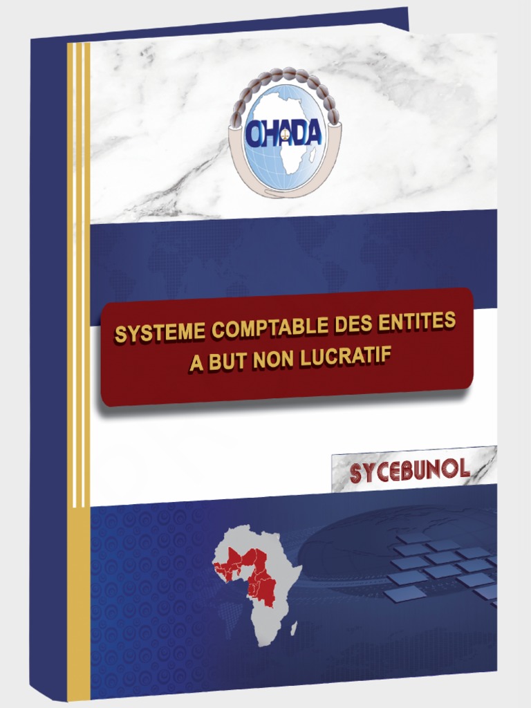 Système comptable des entités non lucratives | PDF | Comptabilité ...