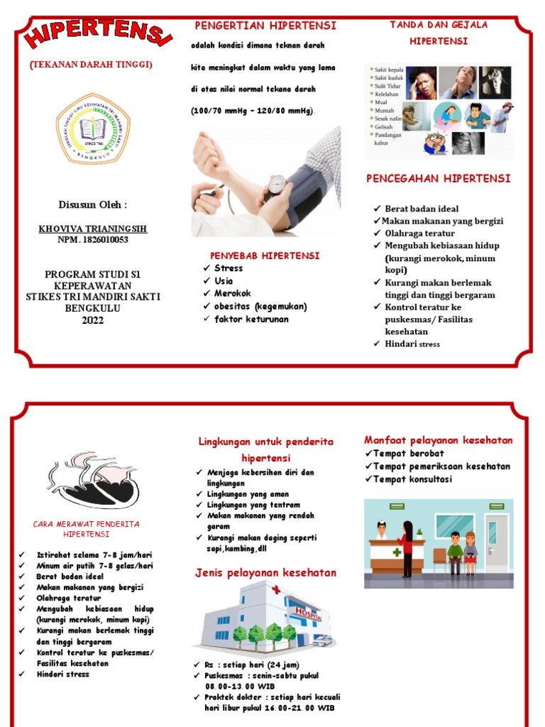 Managing Hypertension: Causes, Symptoms, Prevention and Treatment | PDF