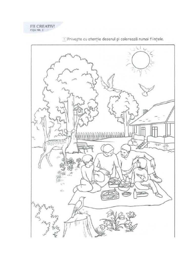 Fisa de Colorat Pregatitoare 09.01.2022 | PDF