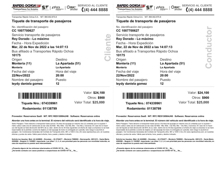 Modelo de Pasaje Peatonal | PDF | Transporte