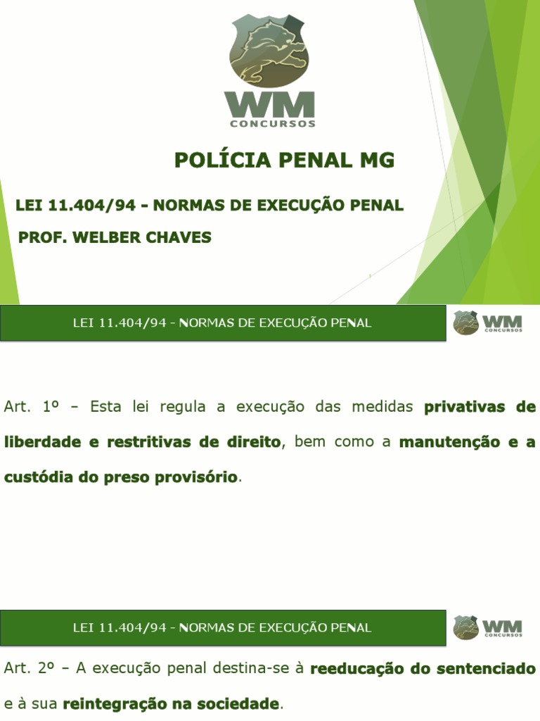 02 - Lei 11404-94 - Normas de Execução Penal | PDF | Direito Penal | Prisão