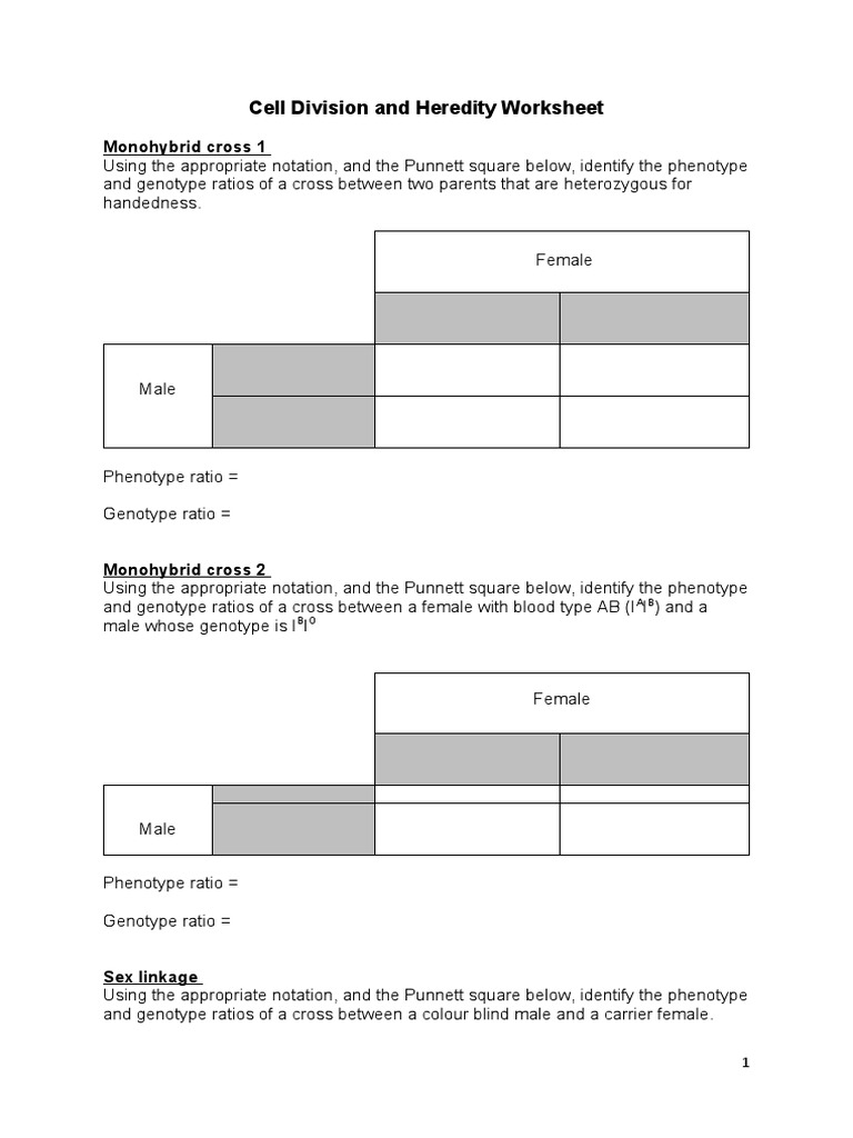 2660-2018 Cell Division and Heredity Work Sheet | PDF