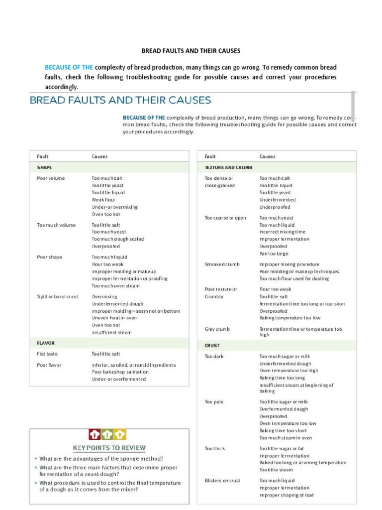 Bread Troubleshooting Guide | PDF | Breads | Baking