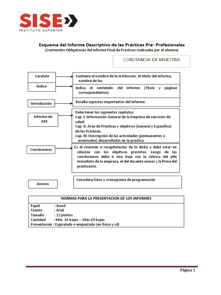 Esquema de Informe Descriptivo Del Practicante | PDF | Negocios | Arte