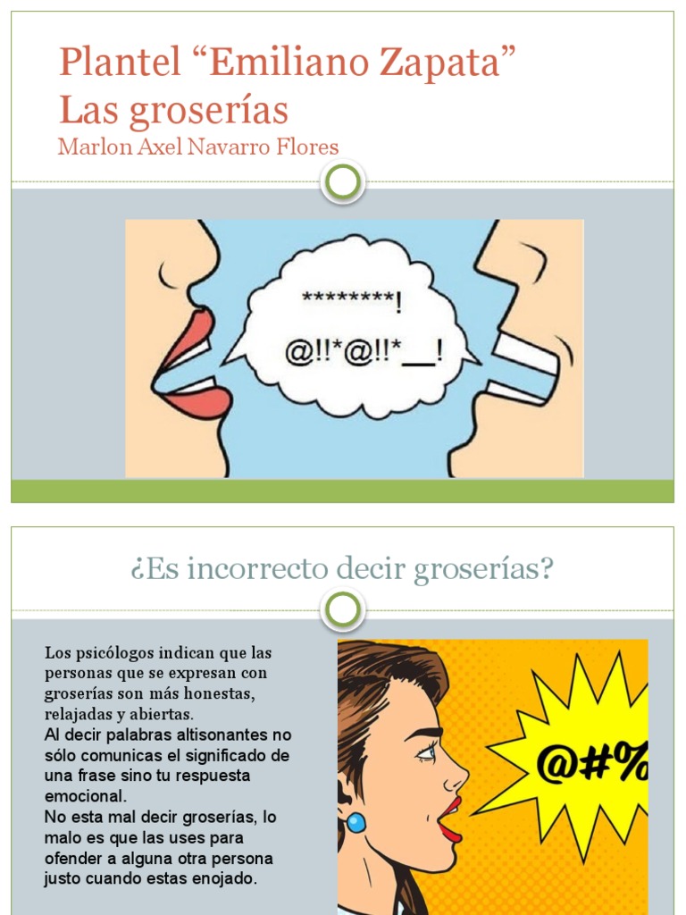 Groserías: Significado y Uso Responsable | PDF