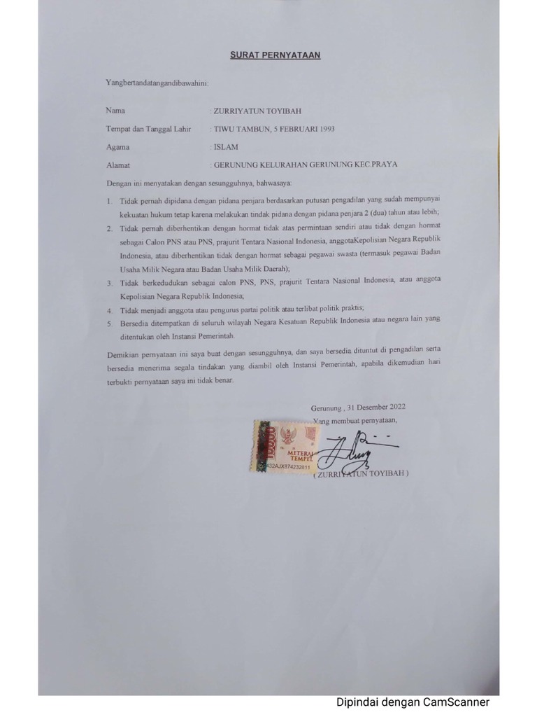 Pernyataan BKN | PDF