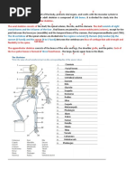 Sacral OMM Guide | PDF | Anatomical Terms Of Motion | Human Anatomy
