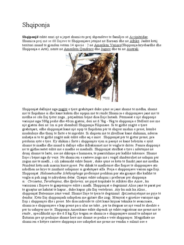 Shqiponja | PDF