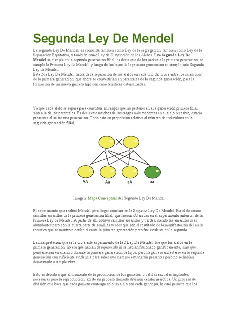 Segunda_Ley_De_Mendel | PDF | Dominancia (Genética) | Alelo