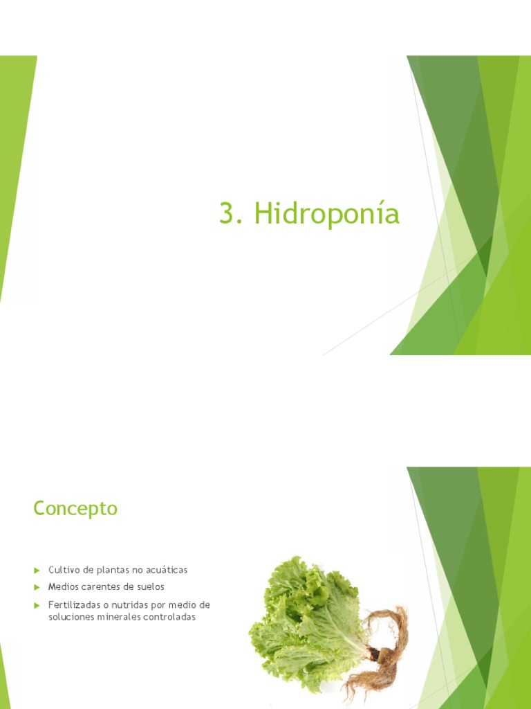 3.1 Hidroponía | PDF | Hidroponia | Fertilizante