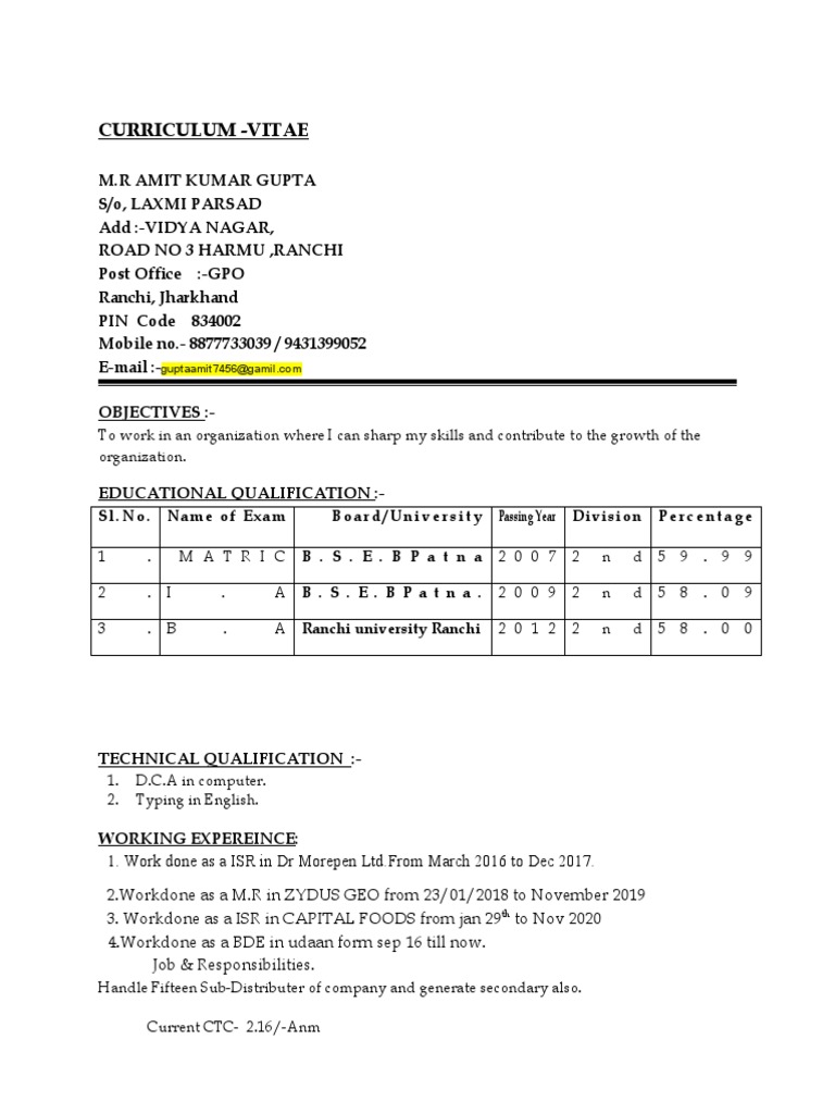 Amit Update CV 2022 | PDF