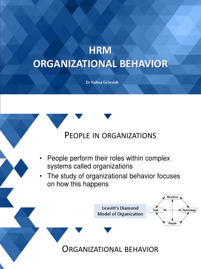 HRM Organizational Behavior Summer | PDF | Job Satisfaction | Motivational