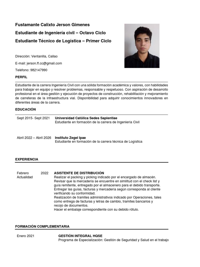Curriculum Vitae | PDF | Logística