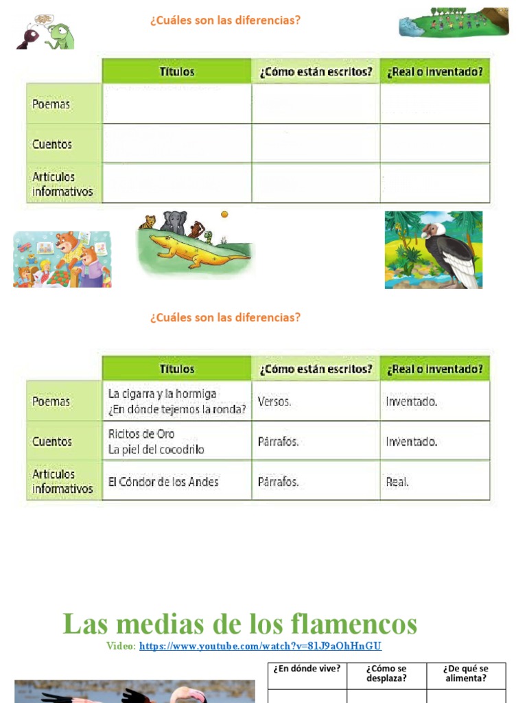 Las Medias de Los Flamencos Castellano | PDF