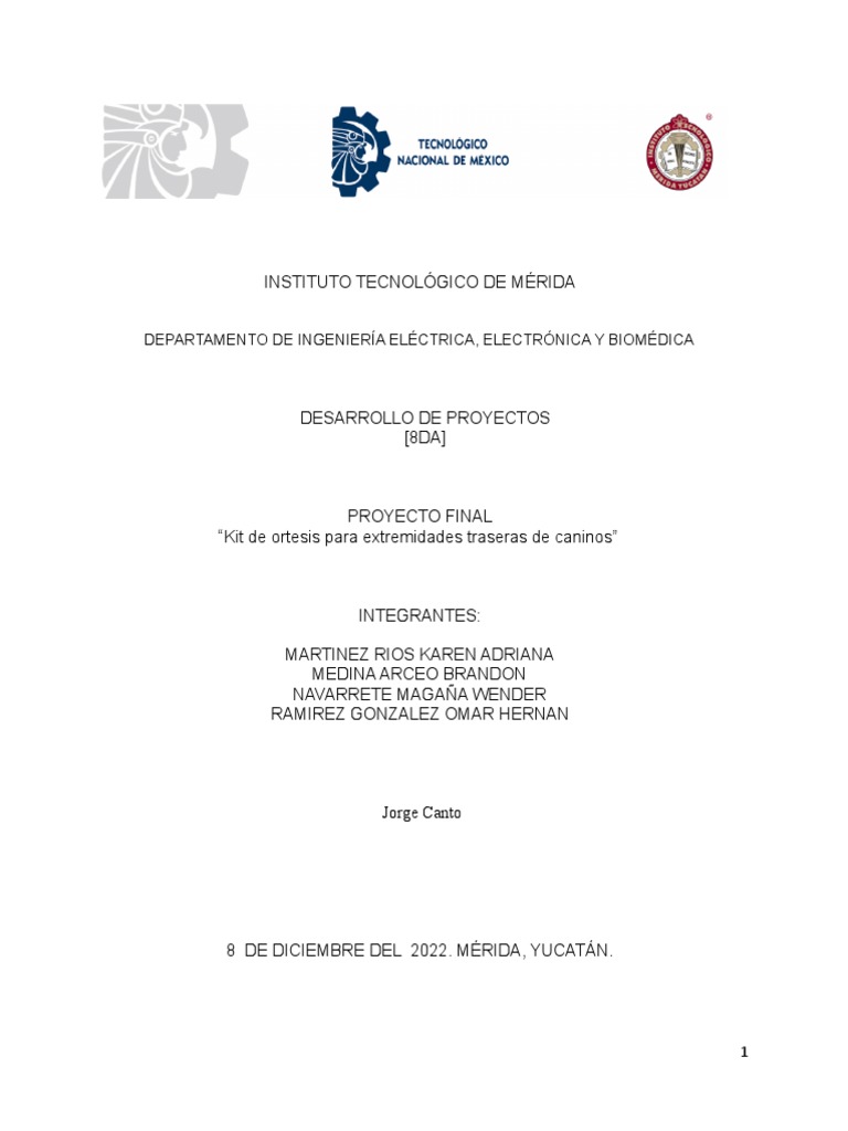 Proyecto Final Desarrollo | PDF | Invalidez | México