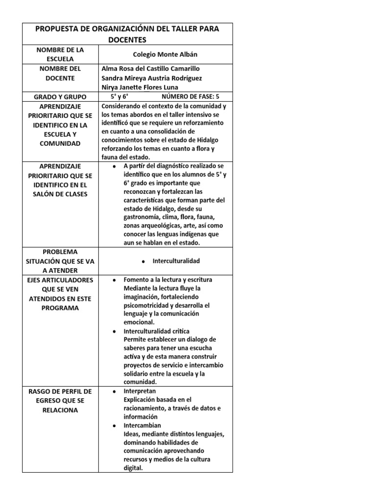 Bosquejo Programas Analíticos | PDF | Aprendizaje | Ciencia cognitiva