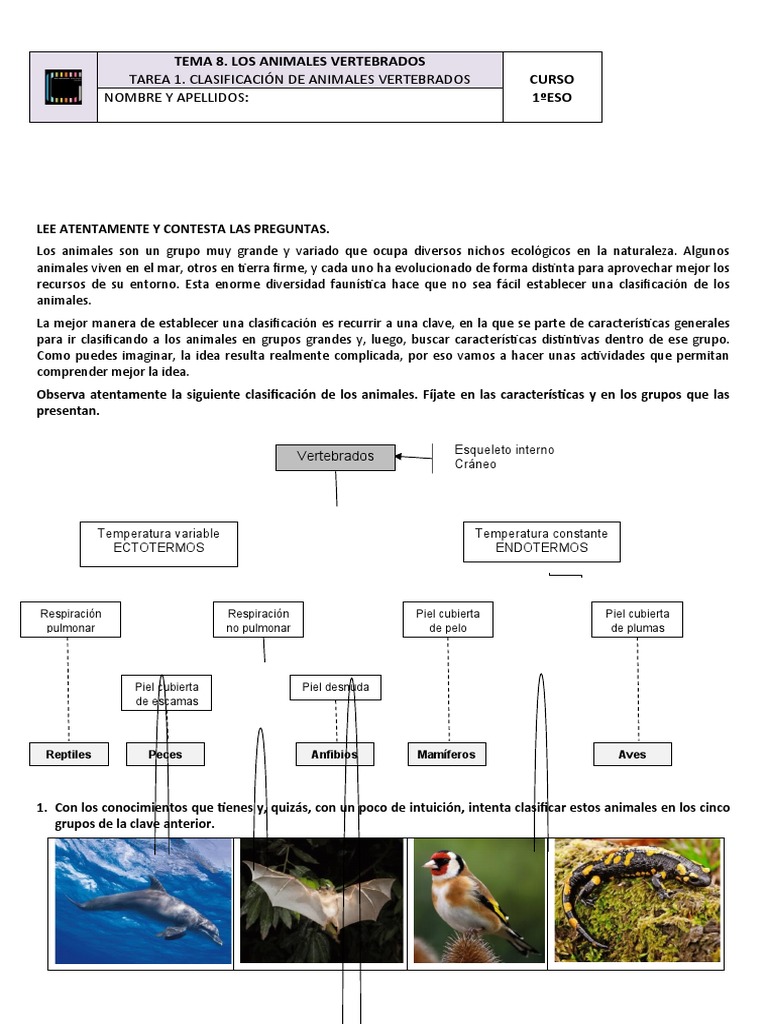 Tarea Clasificación de Vertebrados - Peces. Tareas 1 y 2 | PDF ...