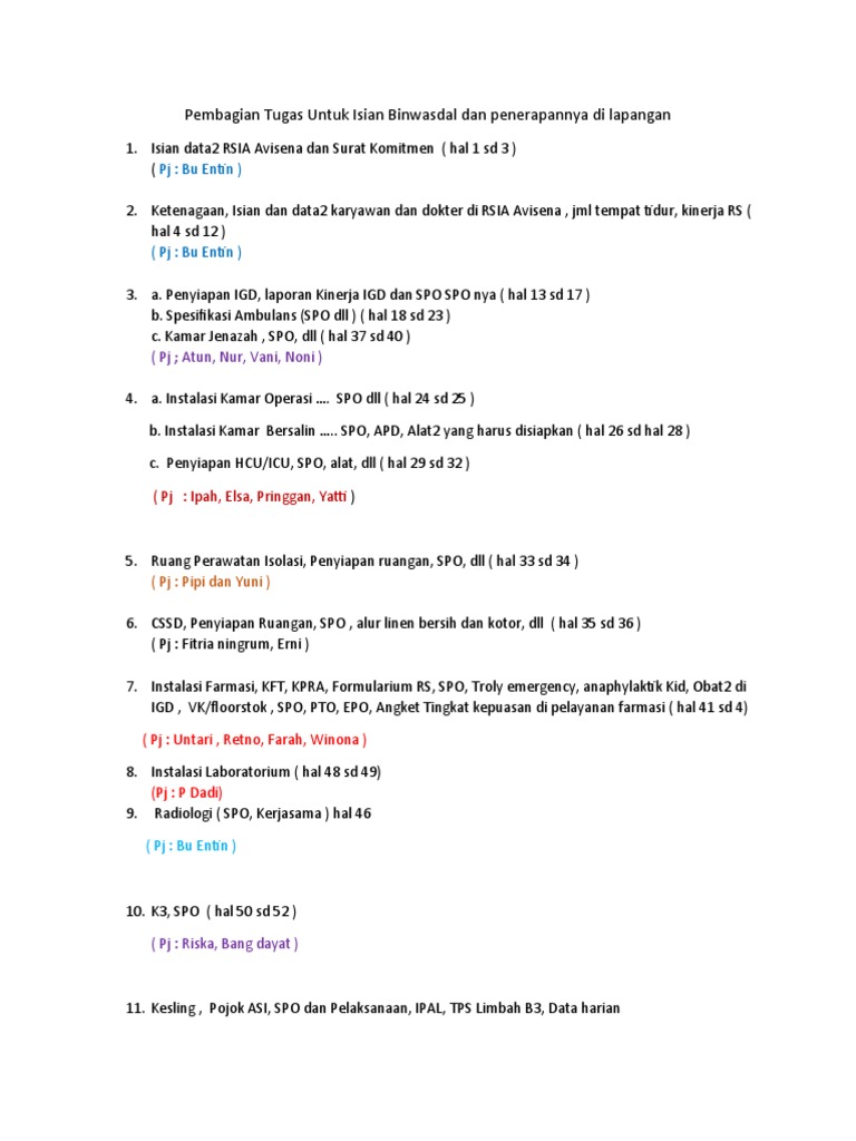 Pembagian Tugas Untuk Isian Binwasdal Dan Penerapannya Di Lapangan | PDF