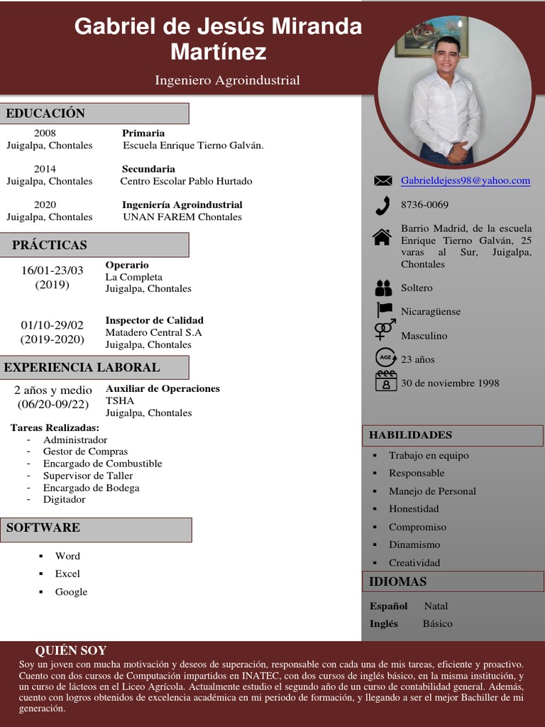 CV Gabriel Martínez | PDF