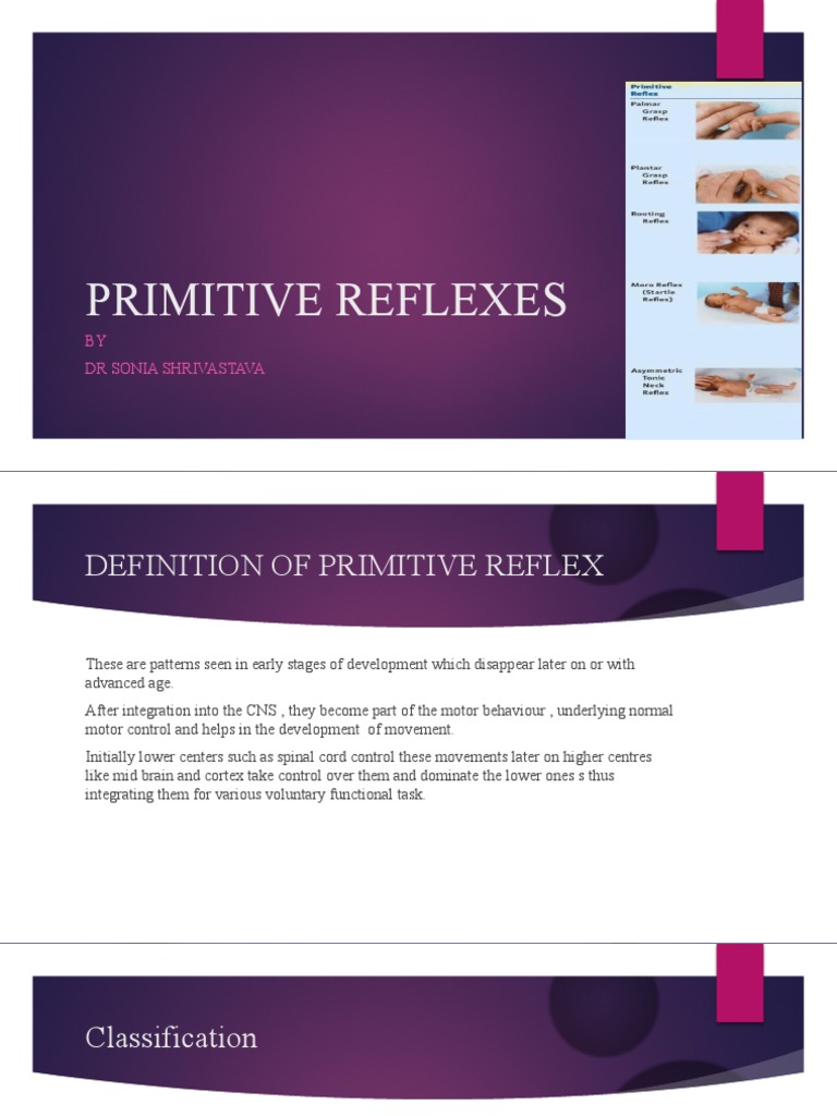 Primitive Reflexes | PDF | Anatomical Terms Of Motion | Foot