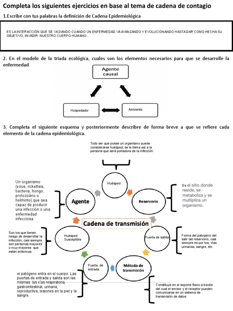 Ejercicio Cadena Epidemiológica | PDF | Infección | Patógeno